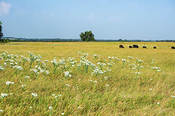 Oklahoma Water Resources Center | Oklahoma State University
